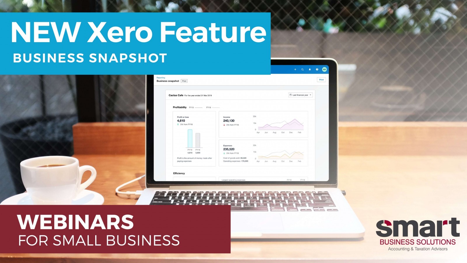 SMART Business Solutions - Xero Training Videos